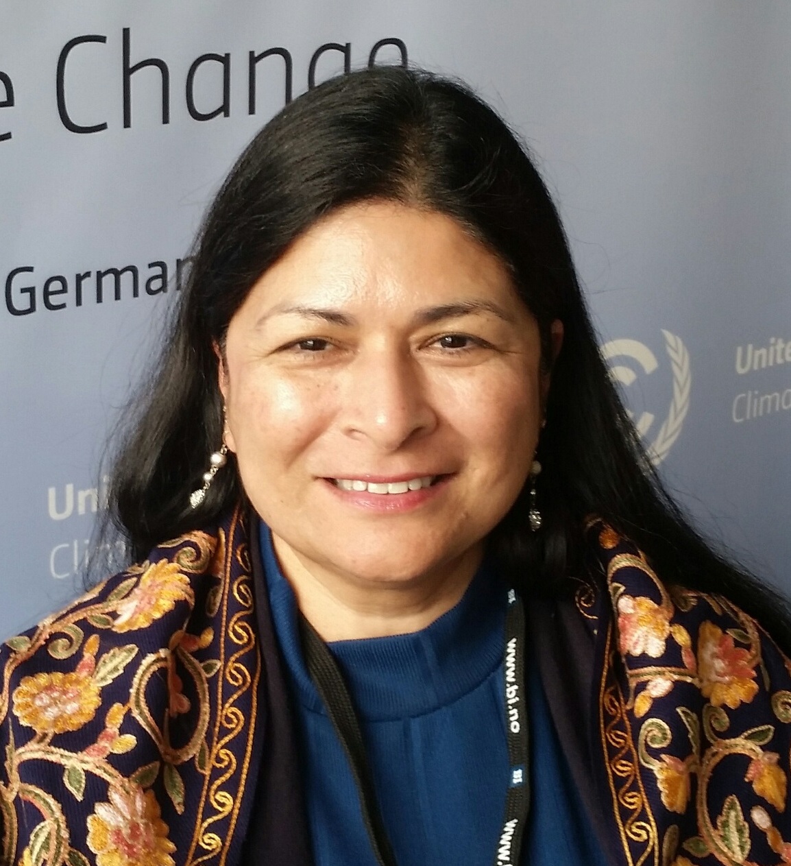 Divisions and senior staff | UNFCCC Divisions and senior staff | UNFCCC
